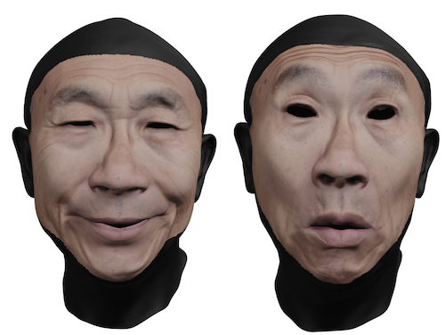 FaceZip: Automatic Texture Compression for Facial Blendshapes ...